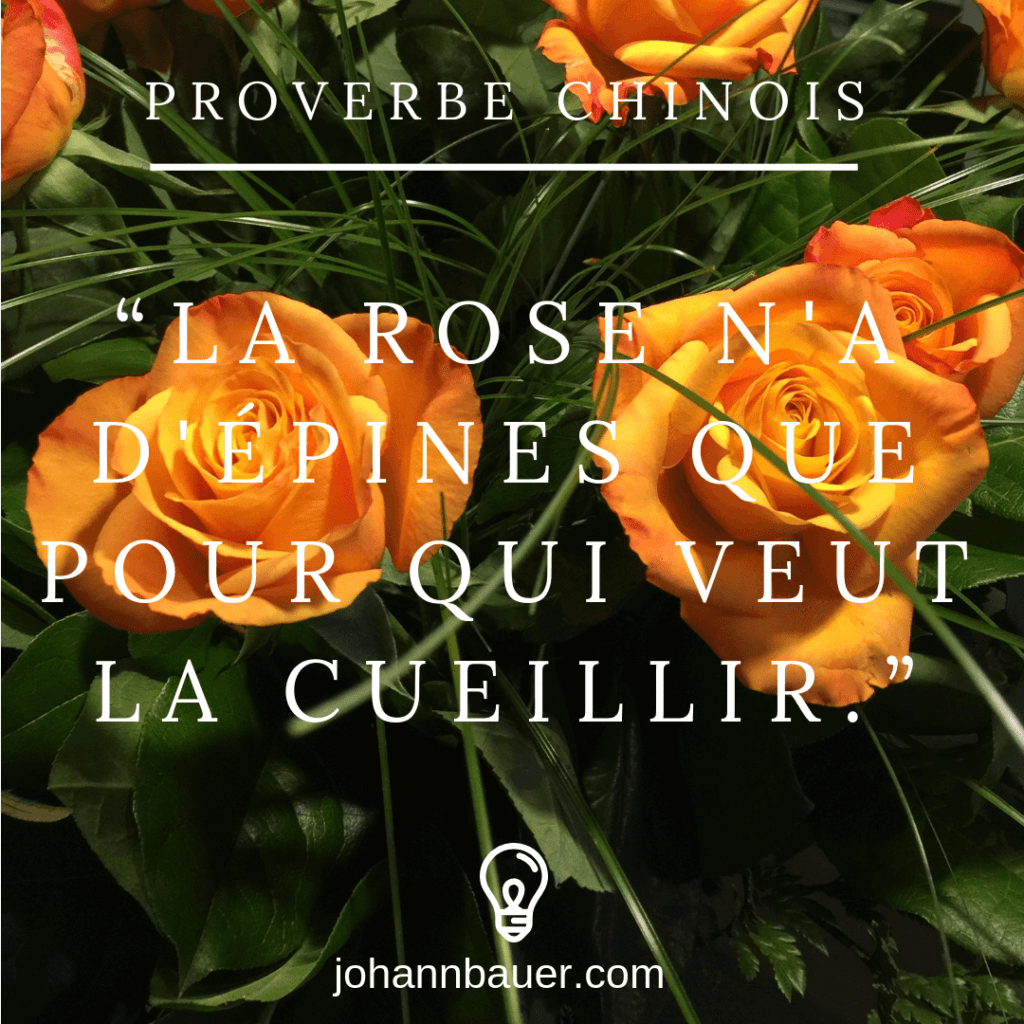 Proverbes chinois – Johann Bauer