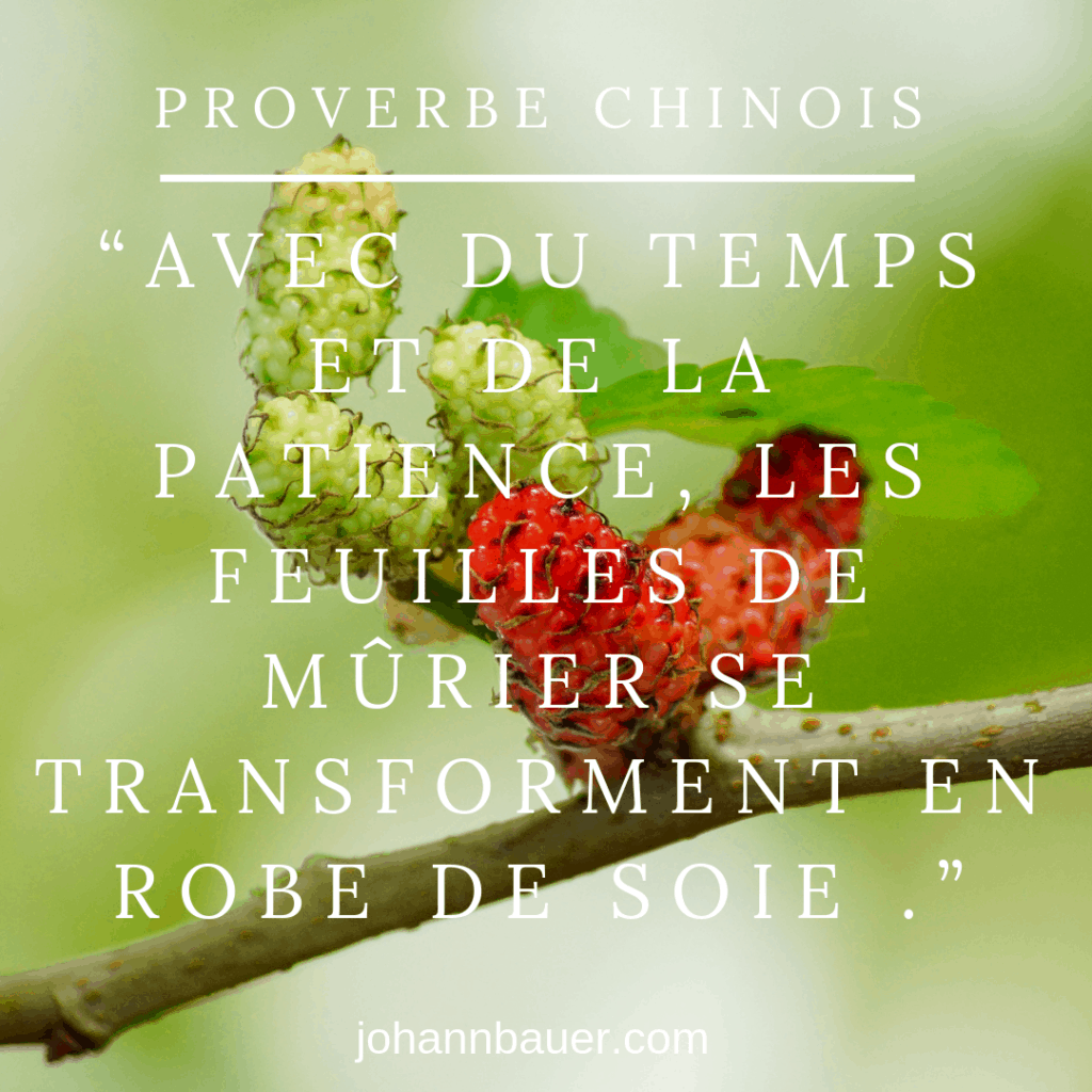 Proverbes chinois – Johann Bauer