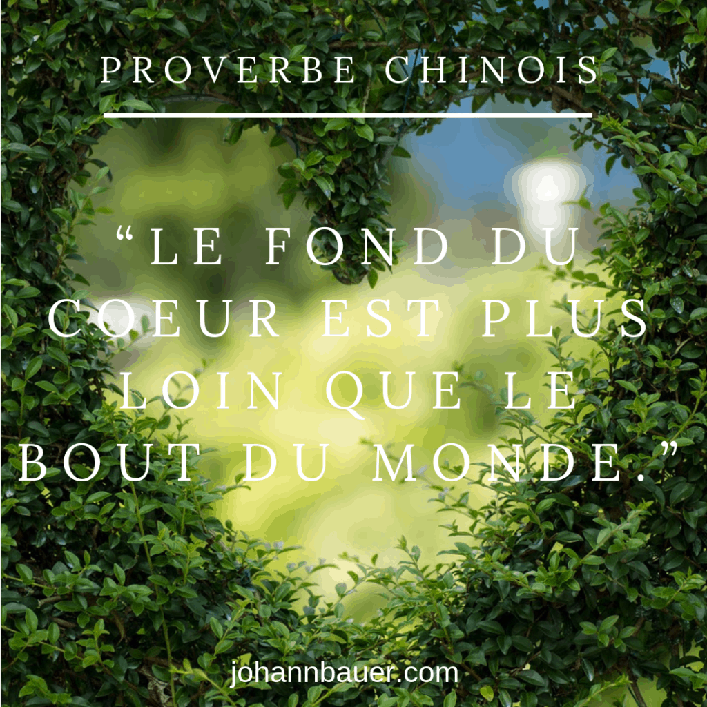 Proverbes chinois – Johann Bauer